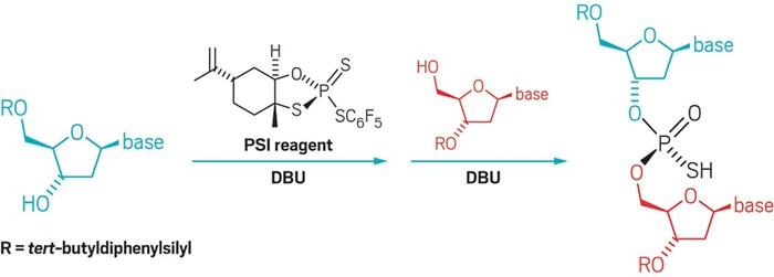 Nucleotide construction gets new chiral tool