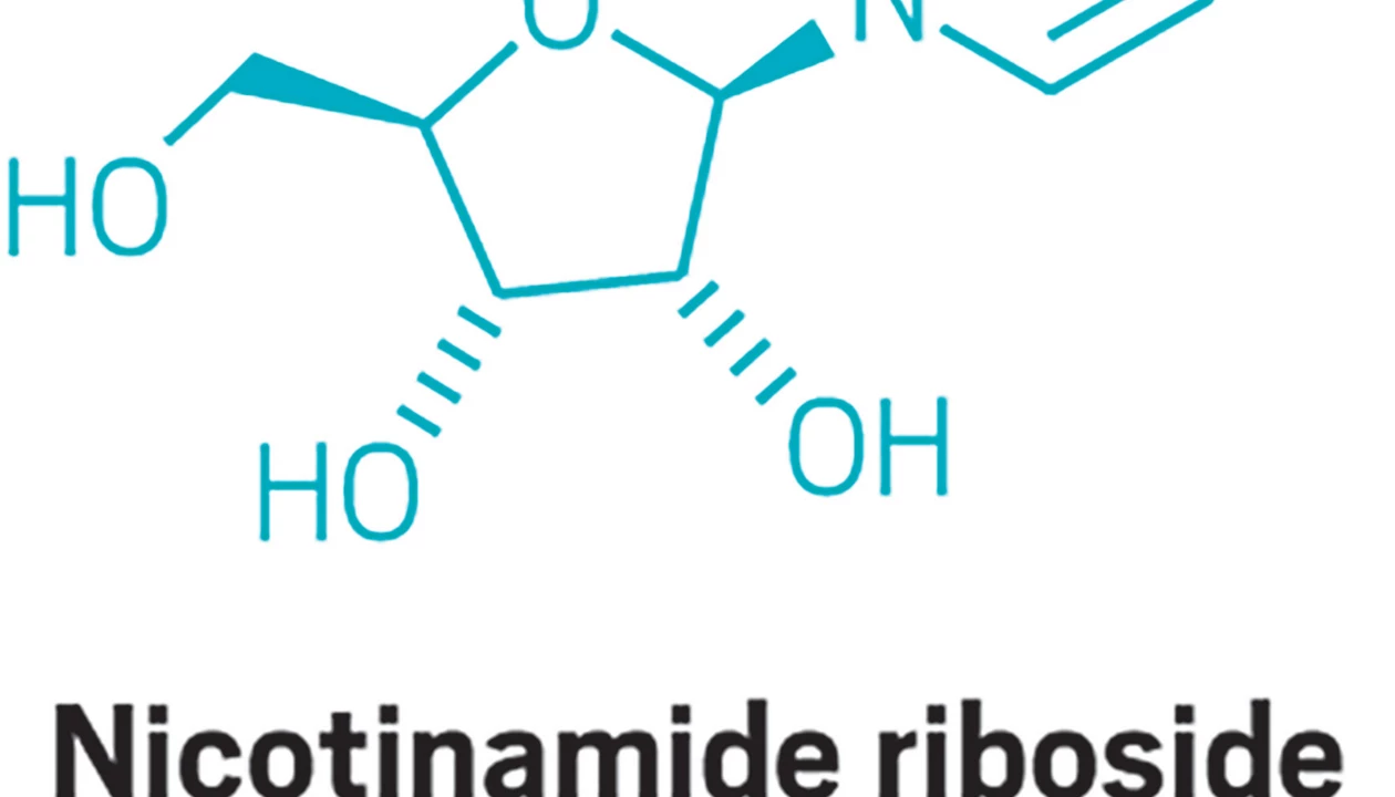 Firms feud over purported age-fighting molecule