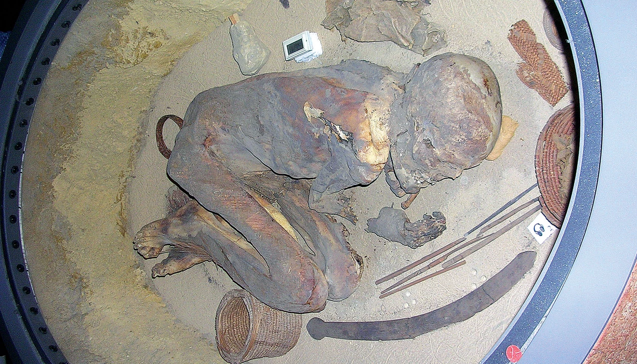 Egyptian mummy gives up embalming secrets