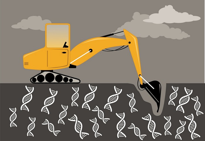 Mining gene expression data for drug discovery