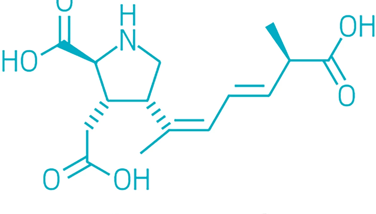 Biosynthetic pathway identified for algal bloom toxin domoic acid