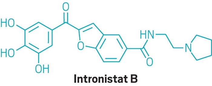 Rna Tertiary Structure Differences In Ion RNA Binding Modes Due To