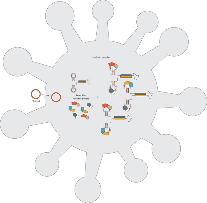 Chemistrys-Role-Cancer
