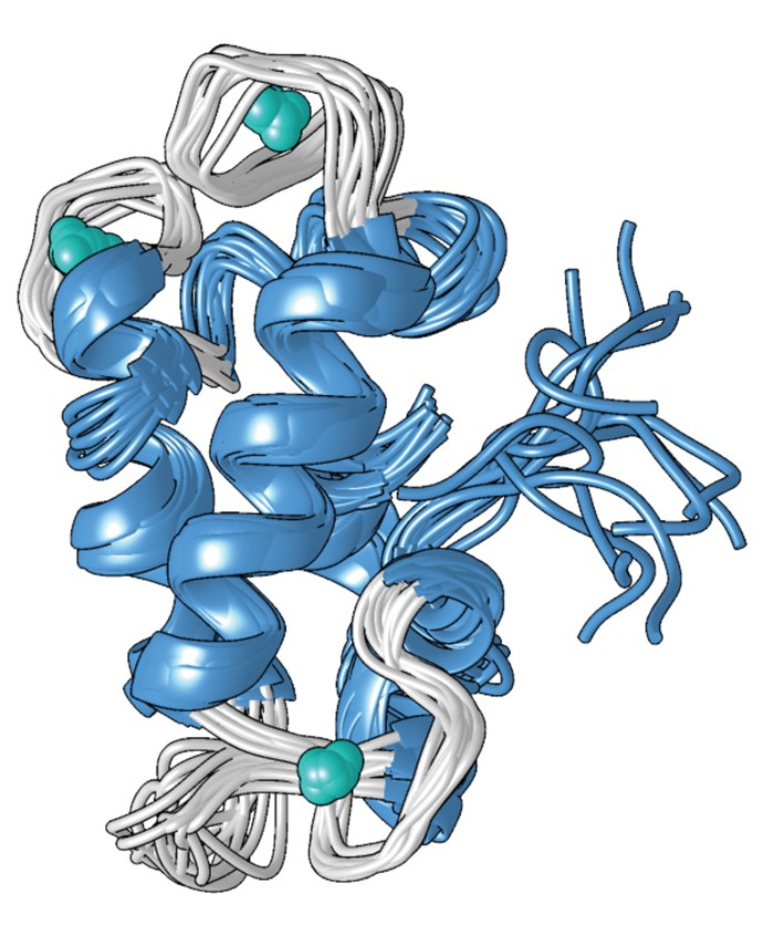 Protein captures lanthanide traces