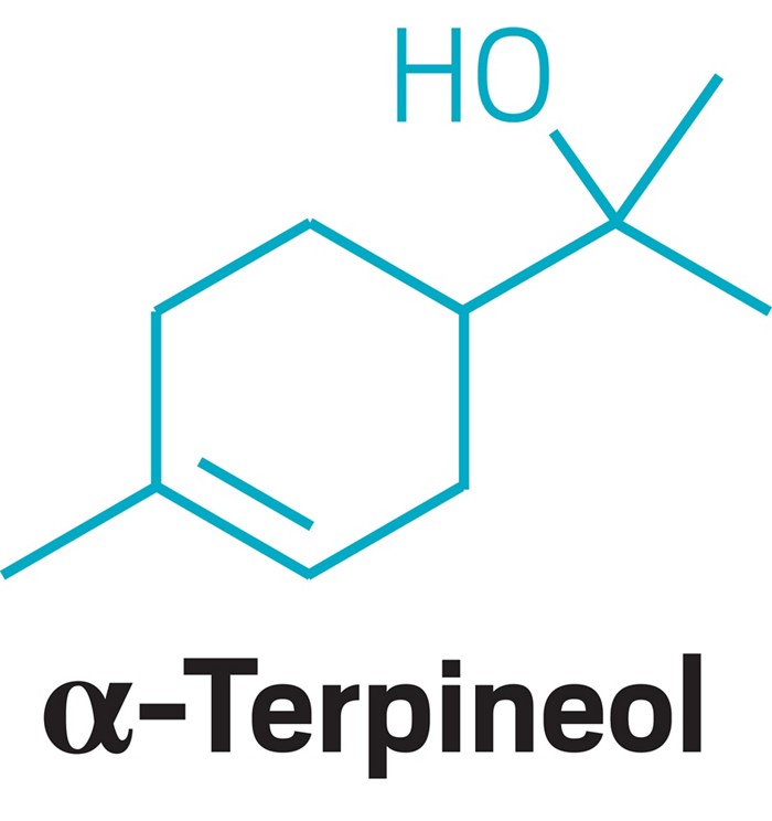 ADM buys citrus products firm Florida Chemical