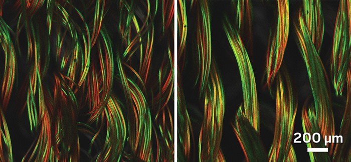 Smart fabric regulates body heat