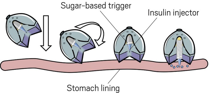 Tortoise-inspired ingestible device flips itself upright to inject ...