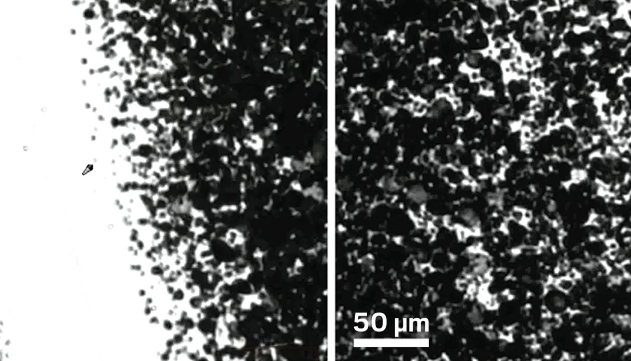 Liquid film self-heals and sticks to metals﻿