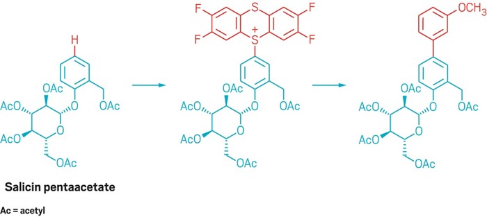 Thianthrene radical readies aromatics for further reactions