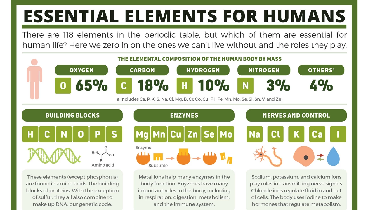 Periodic Graphics: Essential elements for humans