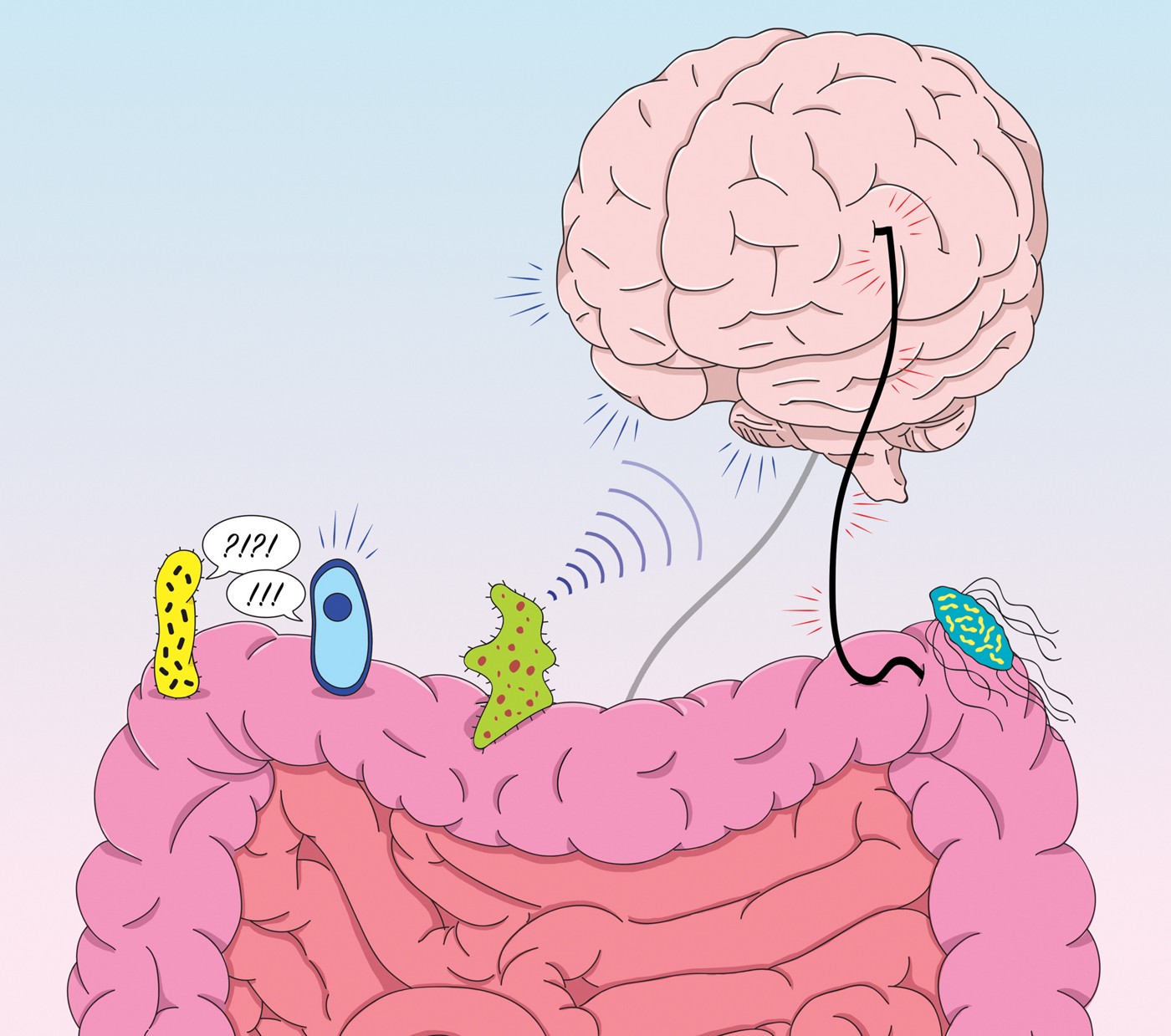 Gut Microbes