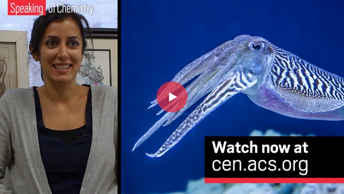 Video: How do cephalopods achieve their crazy-colorful chemistry?