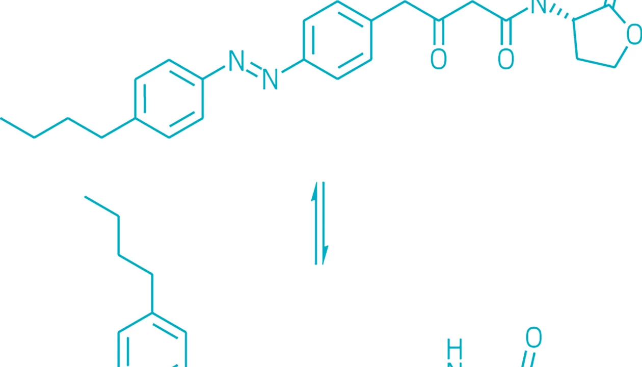 Switching quorum sensing on and off with light