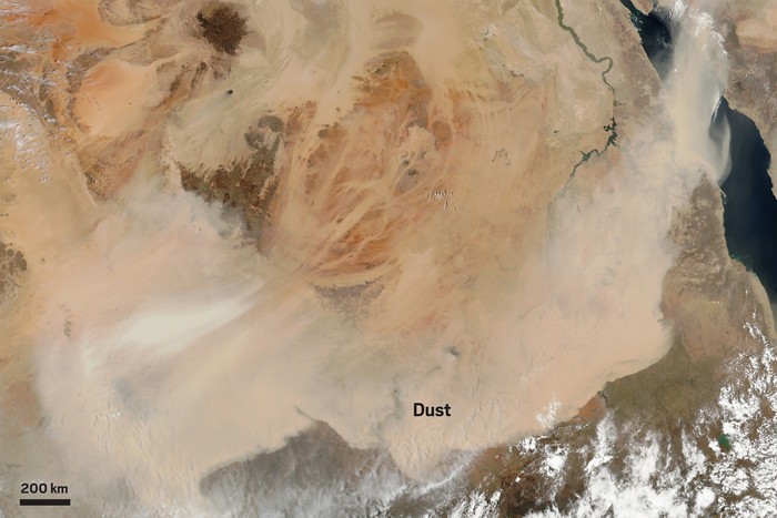 Air pollution kills 780,000 people in Africa each year