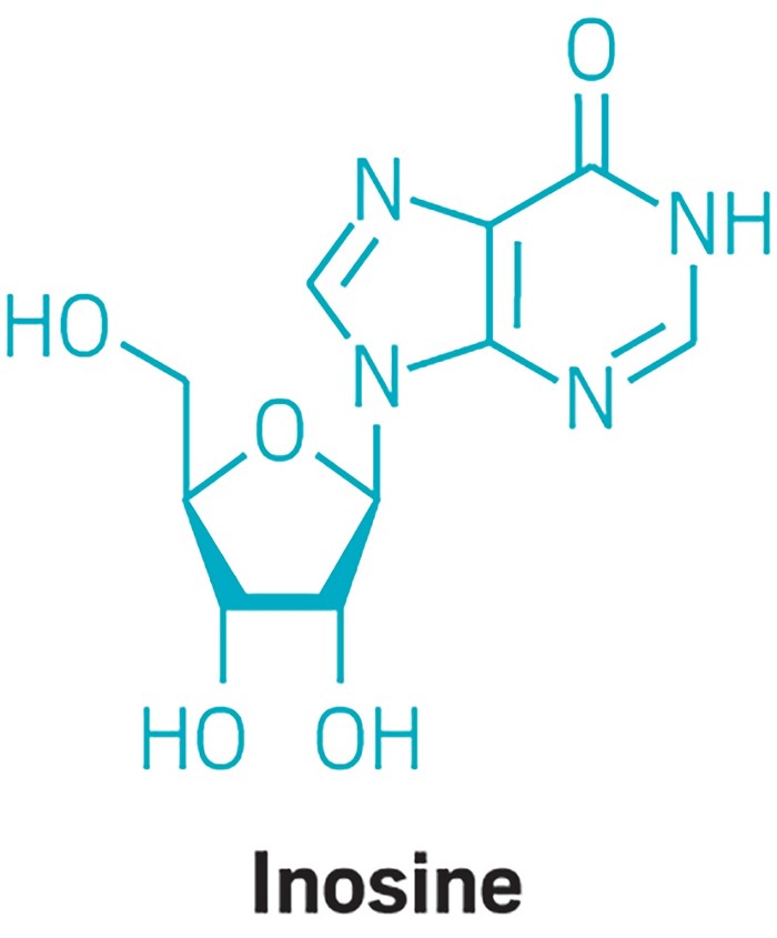 CRISPR-based nucleotide editor randomly changes RNA