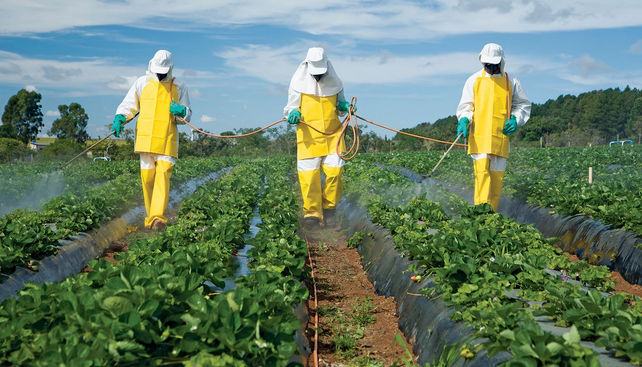 US EPA struggles to replace animal tests for pesticide toxicity