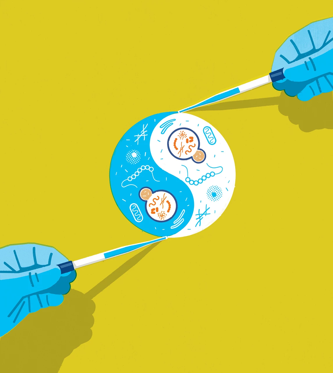Autophagy: Drugging the yin and yang of the cell