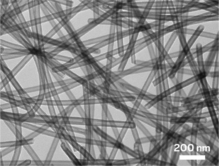 Polar Bear Fur Microscope