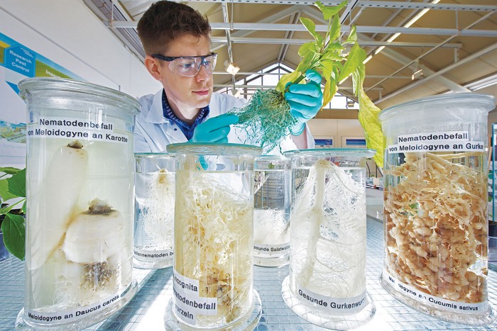 Bayer pledges a $5.5 billion investment in agriculture R&D