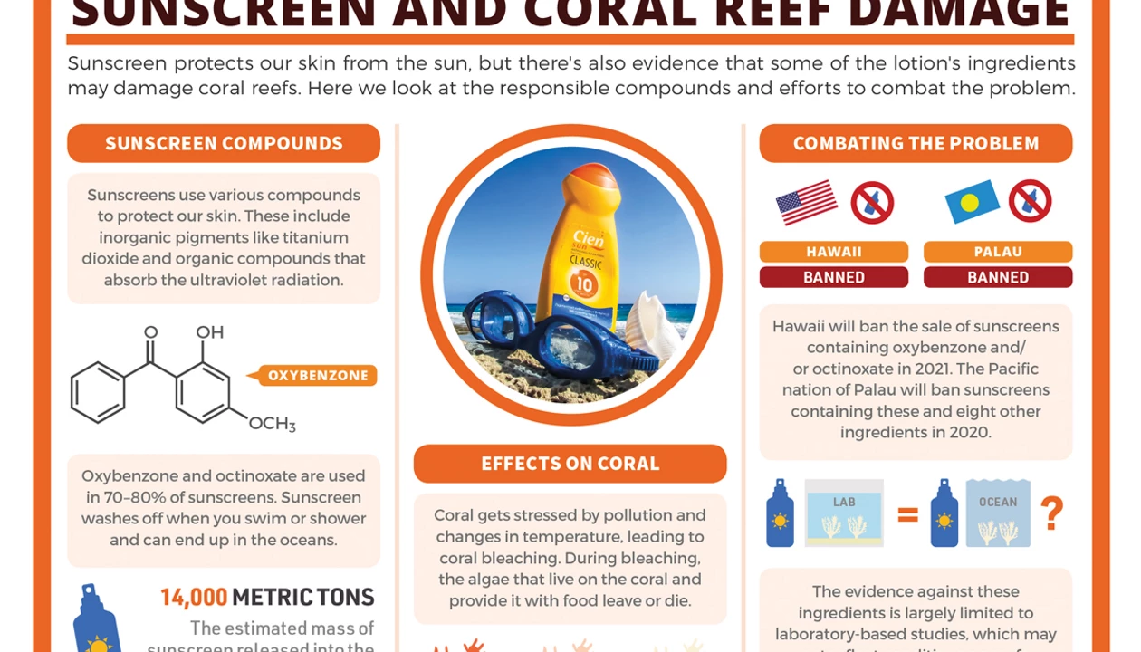 Periodic Graphics: Sunscreen and coral reef damage
