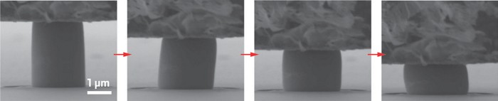Microscopic carbon pillars are stronger than diamond yet elastic