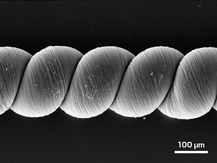 Nylon Fiber Under Microscope