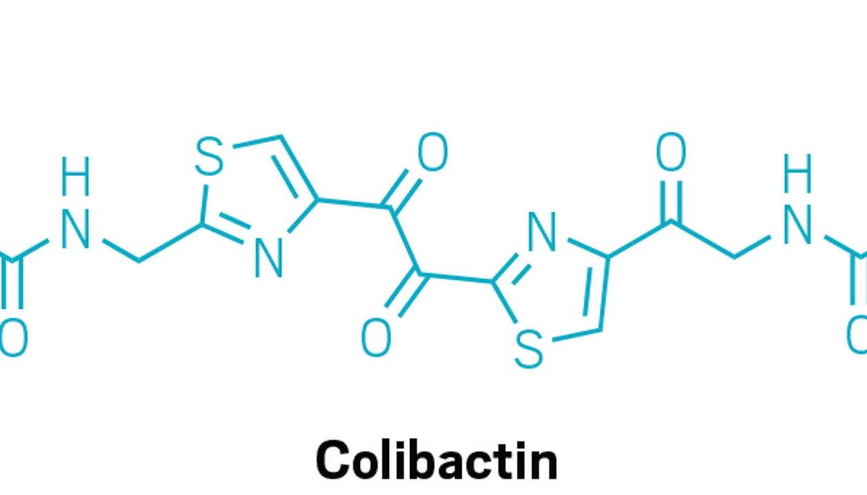 Researchers elucidate colibactin structure