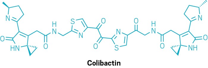 Researchers elucidate colibactin structure