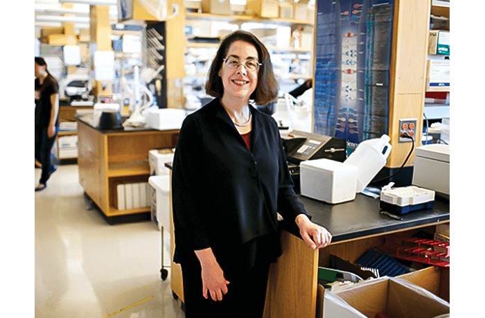 Merck and CureVac strike Ivy League deals