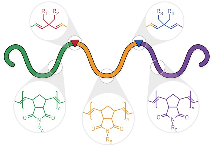 Polymer Chain Structure