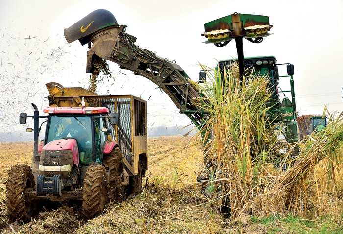 Sugar-waste-to-fuel plant eyed for Louisiana