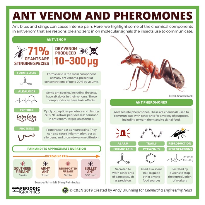 Periodic Graphics: Ant venom and pheromones
