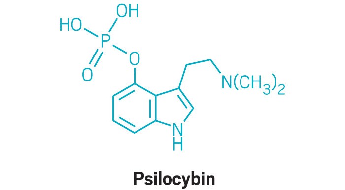 Psilocybin Molecular Structure Alkaloids From Fungi | SpringerLink