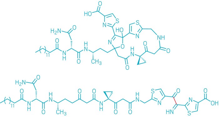 Closing in on the elusive colibactin toxin