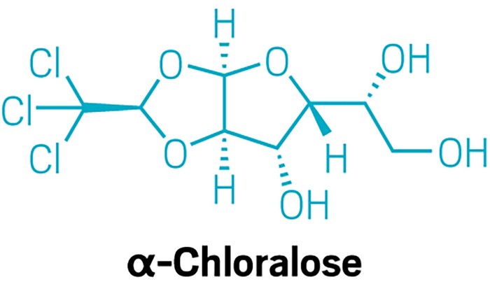 US EPA green-lights mice-control chemical