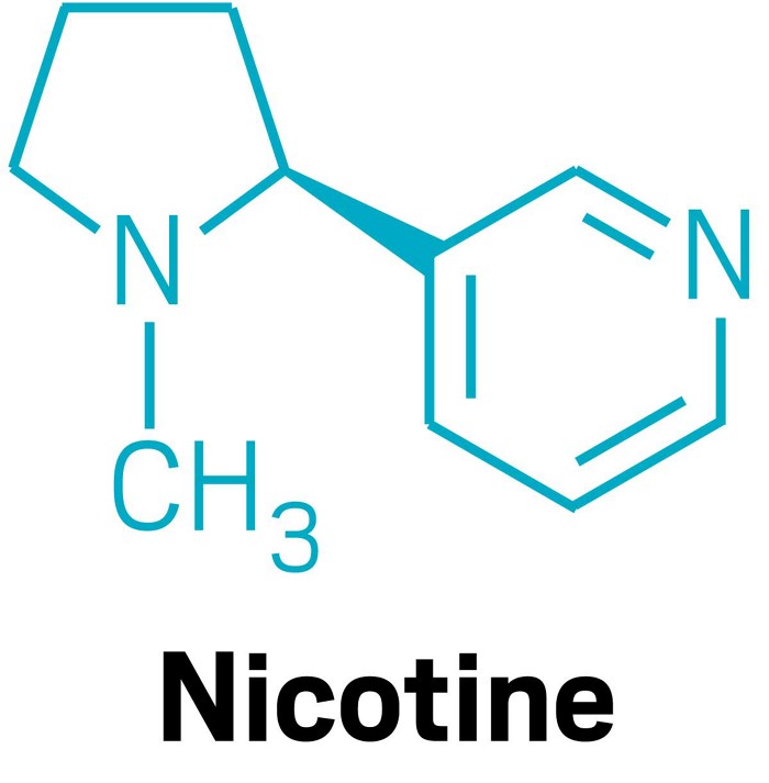 A protein in the brain may link smoking and diabetes