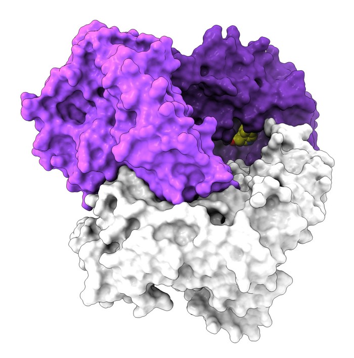 Newly discovered enzyme adds iodine to diverse substrates