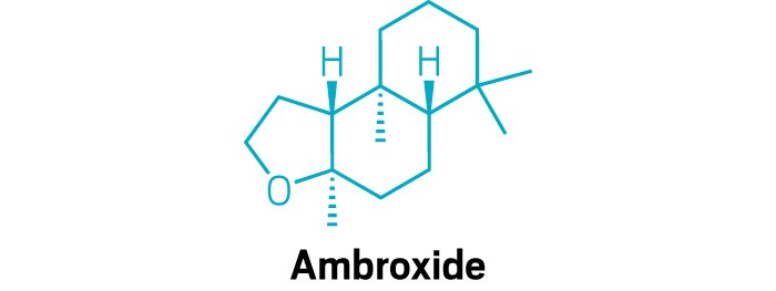Givaudan makes Ambrofix-brand ambroxide with microbes