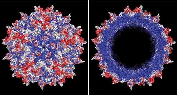 George Church lab spin-off Dyno Therapeutics to use machine learning ...