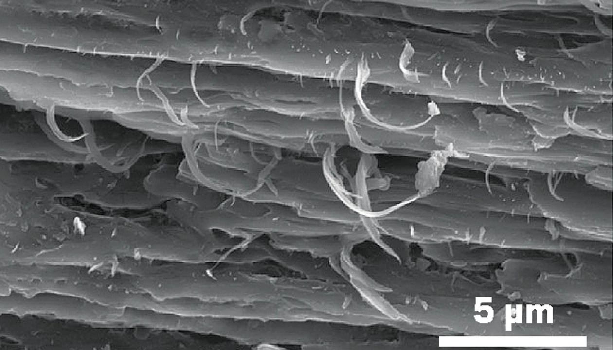 Study shows thicker hair isn’t necessarily stronger