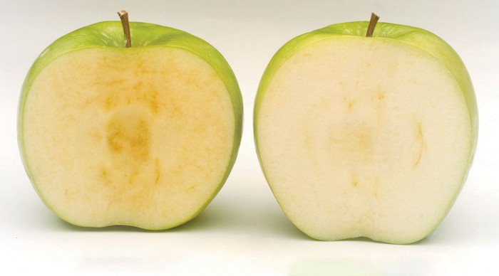 Venture capital firm buys genetically engineered–apple firm as part of ...