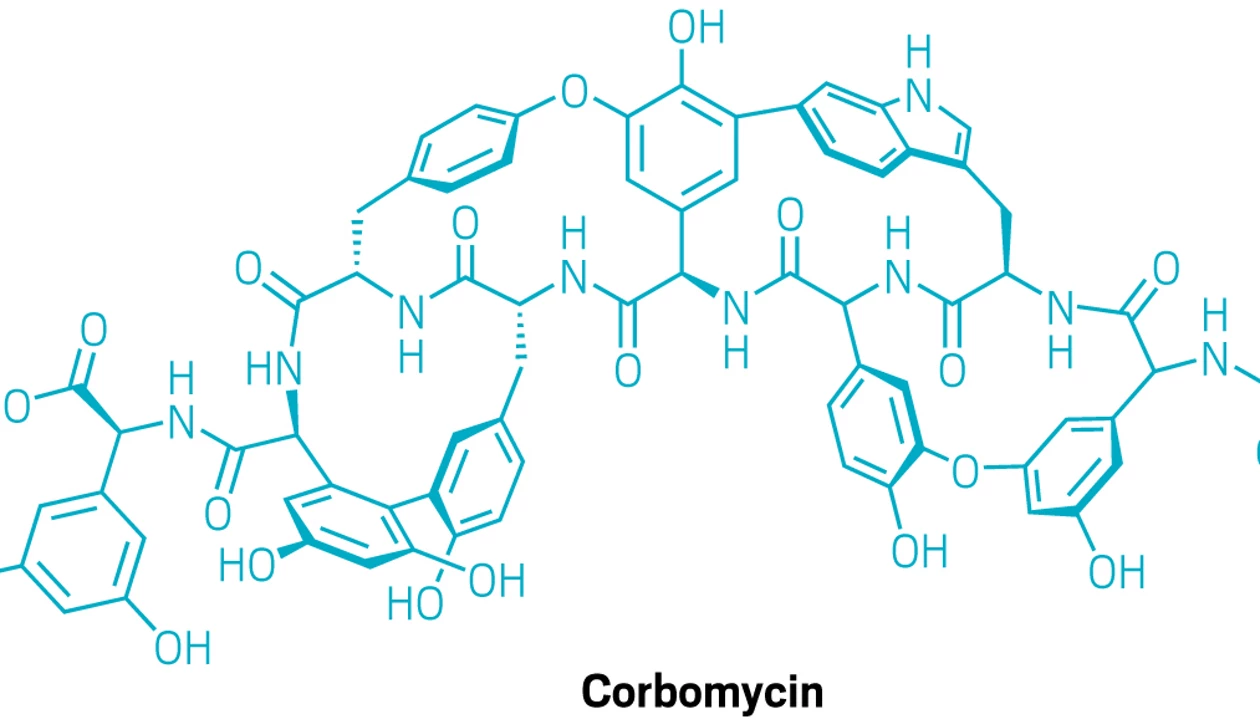 Phylogenetic screen finds antibiotics that work in a new way