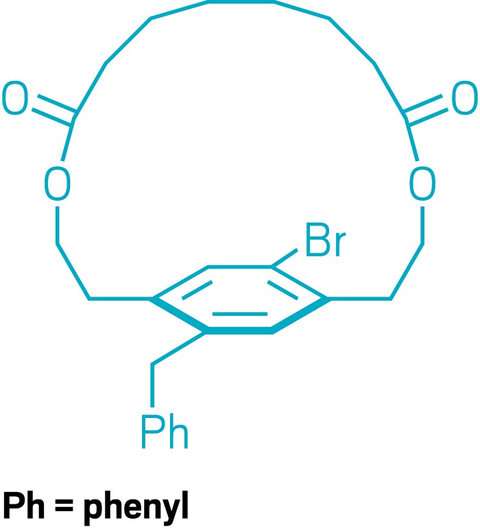 Enzyme smooths path to planar chiral macrocycles