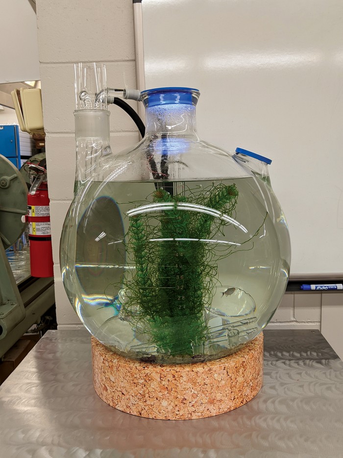 Scientists’ favorite DIY lab equipment, and making lab trash live on