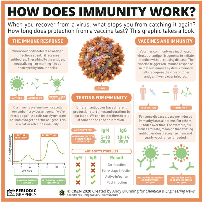 Periodic Graphics: How does immunity work?
