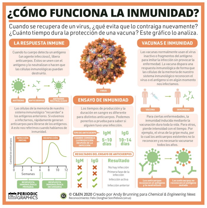 Infografias Periodicas: ¿Cómo funciona la inmunidad?