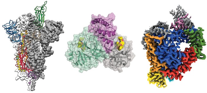 How structural biologists revealed the new coronavirus’s structure so ...