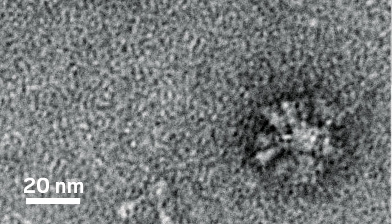 CEPI commits $384 million to Novavax’s nanoparticle-based COVID-19 vaccine