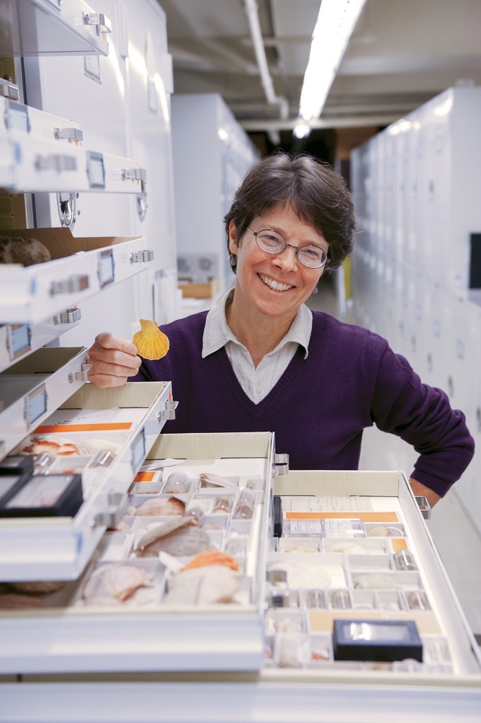 Geologist studies cast-off clamshells to understand how they create a ...