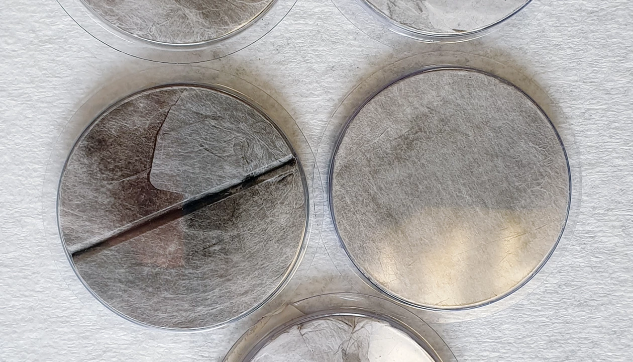 Chemistry helps reconstruct the origin of 2017 ruthenium plume